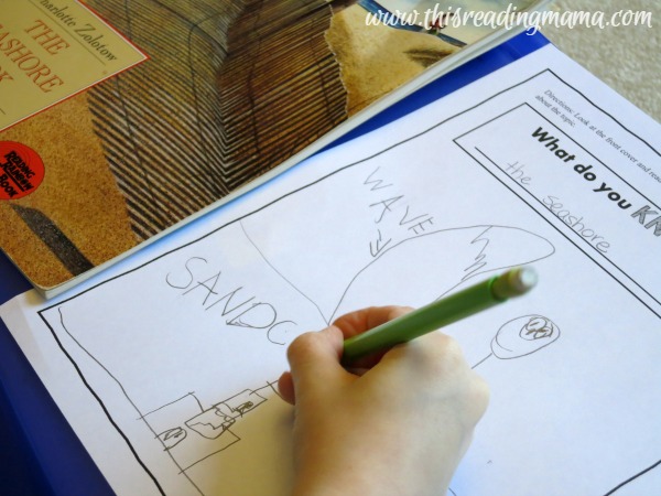 Teaching Readers to Use their Schema